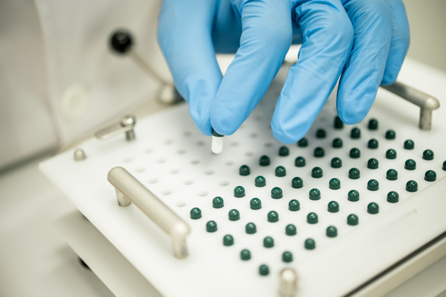 A Guide to Successful Capsule Formulation Development