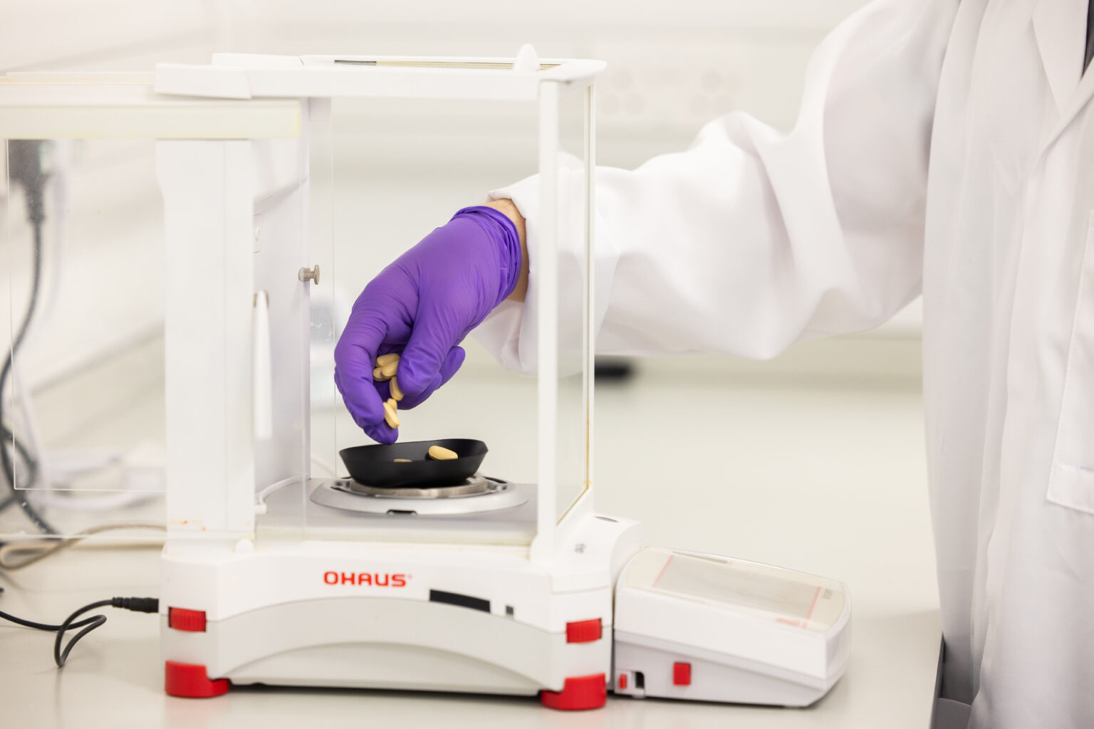 A Guide to Successful Capsule Formulation Development